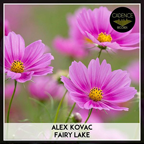 Amazon.com: Fairy Lake : Alex Kovac: Digital Music