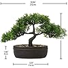 Amazon.com: Artificial Bonsai Tree Juniper Faux Plants Indoor Small ...