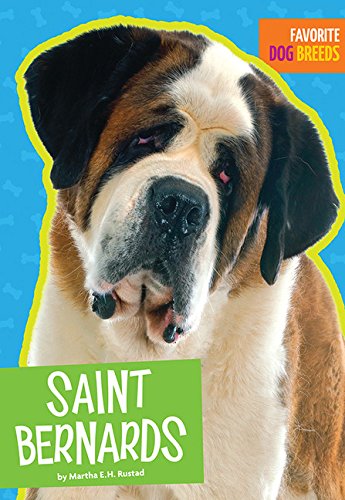 Saint Bernards : Buy Online at Best Price in KSA - Souq is now Amazon ...
