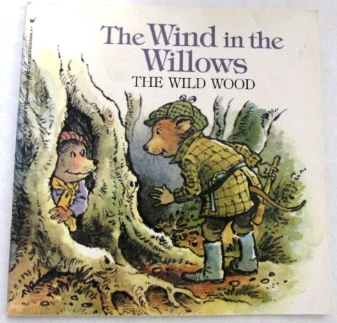 Buy WIND IN THE WILLOWS: THE WILD WOOD Book Online at Low Prices in ...