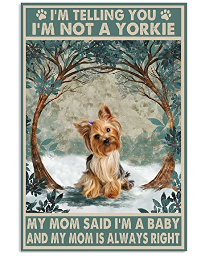 Discover the Top 10 Yorkie Signs to Make Your Pup's Personality Shine ...