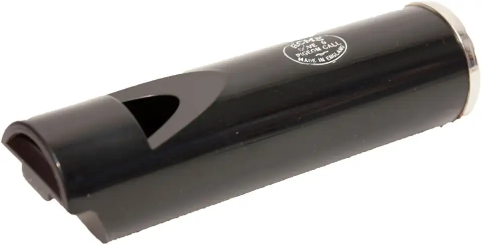 What Does A Turtle Dove Sound Like: A Guide To The Melodious Calls Of ...