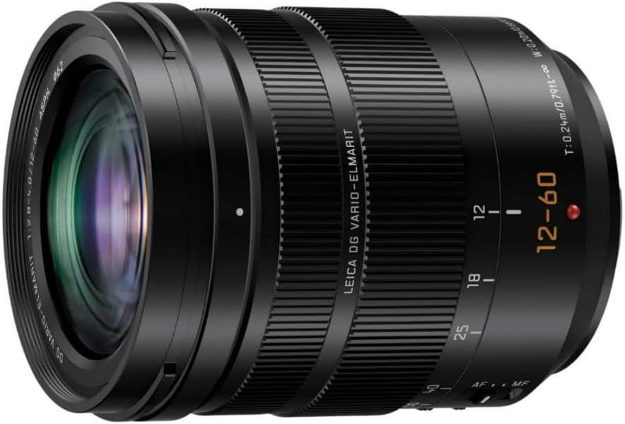 Amazon.com : Panasonic LUMIX Professional 12-35mm Camera Lens G X VARIO ...