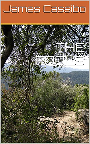 THE POOLS eBook : Cassibo, James: Amazon.in: Kindle Store