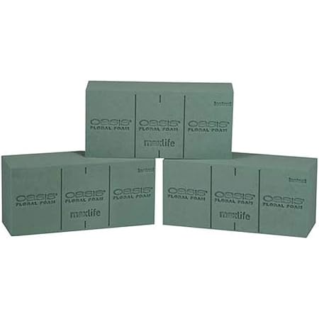 Amazon.com: Advantage Plus Oasis® 8 PCS Standard Wet Floral Foam Brick ...
