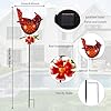 Amazon.com : Viterlight Solar Pathway Lights Outdoor, Cardinal Solar ...