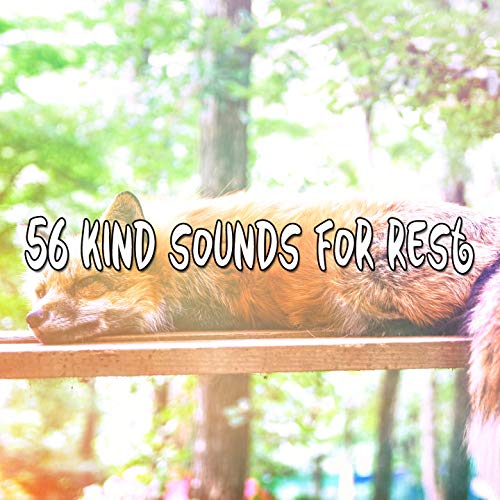 Amazon.com: 56 Kind Sounds For Rest : Ocean Sounds Collection: Digital ...