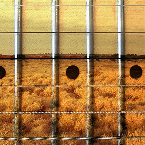 Amazon.com: Guitar Country : Paul Lenart & Geoff Bartley: Digital Music