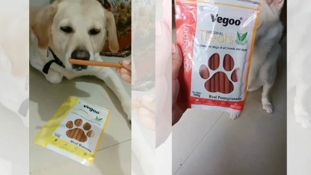 Watch Vegoo Dog Treat, All Dog Breeds and Pure Vegetarian Food on ...