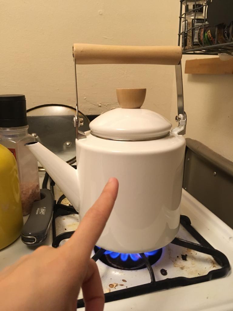 Amazon.com: Keypro Enamel on Steel Tea Kettle, 1.7-Quart Maximum Safe ...