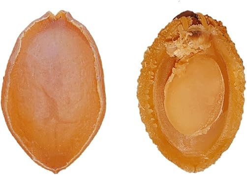 Amazon.com: Dried Abalone (100 g) : Grocery & Gourmet Food