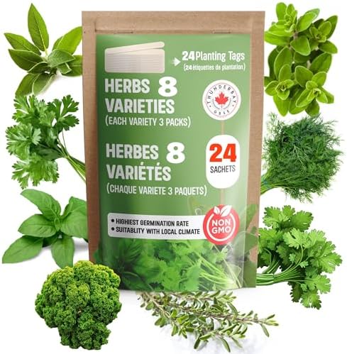 THUNDERBAY-GBSE Herbs Seeds 24 sachets Package, 7 Herbs Seeds sage ...