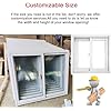 Amazon.com: Double Pane Windows for Houses 20 22 24 28 30 32 34 36 38 ...