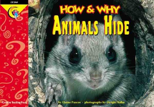 How and Why Animals Hide (How and Why Series): Pascoe, Elaine ...