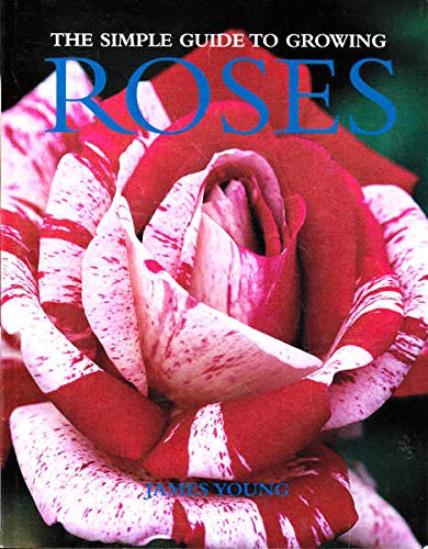 Simple Guide to Growing Roses: Young, James: 9780957841482: Amazon.com ...