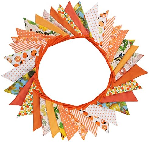 Amazon.com: Oudain 17 ft Pennant Banner Flags, 2 Pcs Nursery Garland ...