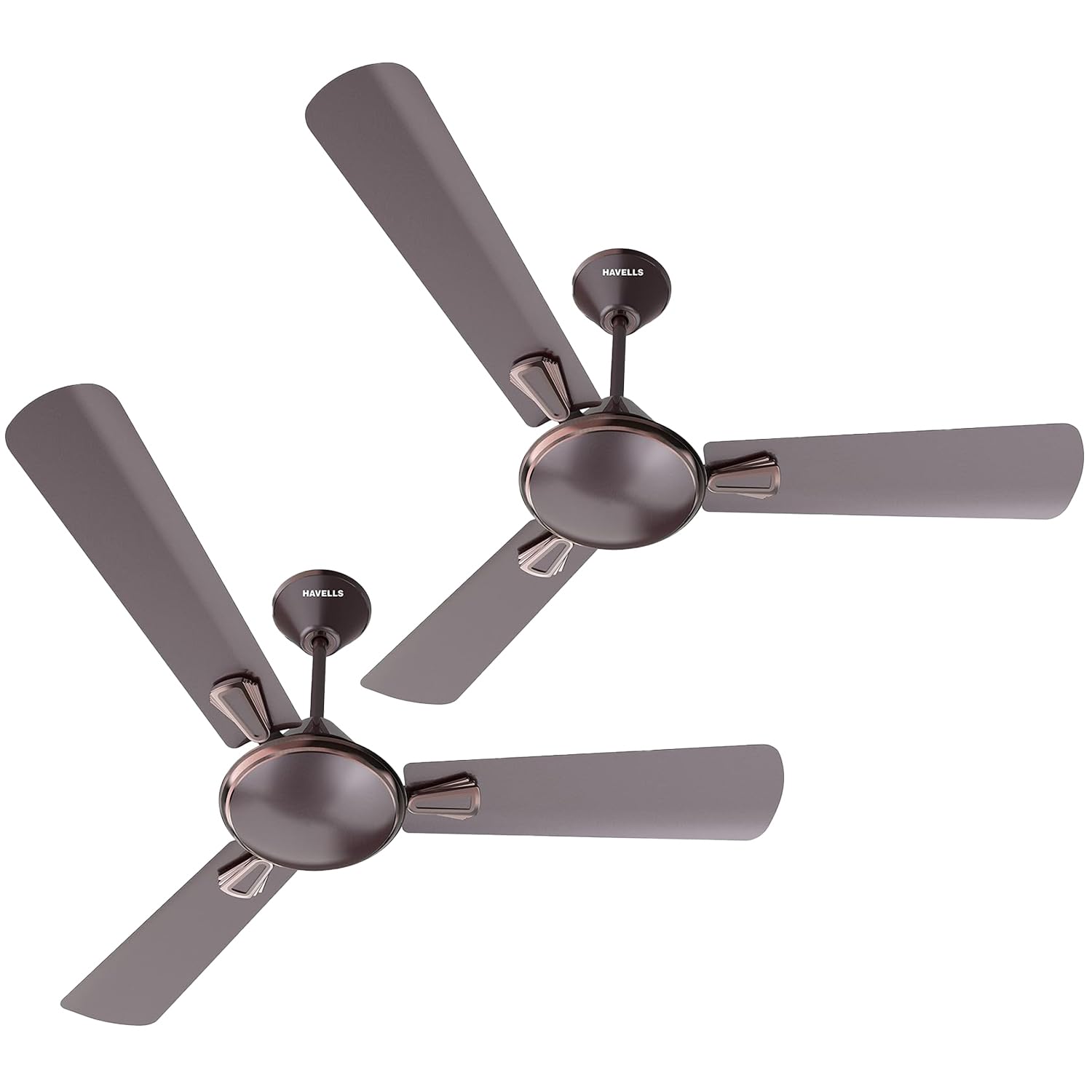 Buy Havells 1200mm Festiva ES Ceiling Fan | Premium Finish, Decorative ...