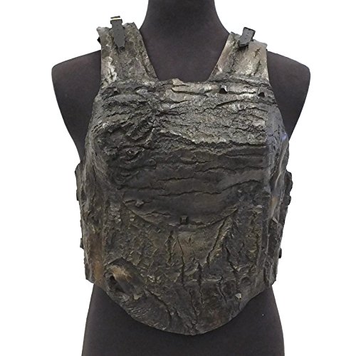 Wyrmwick Polyurethane Larp Armour Female Studded Bark Breastplate ...