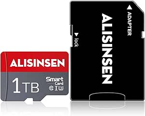 Micro SD CARD 1TB With Adapter MINI SD CARD 1TB MICRO SD MEMORY CARDS High Speed Class 10 TF ...