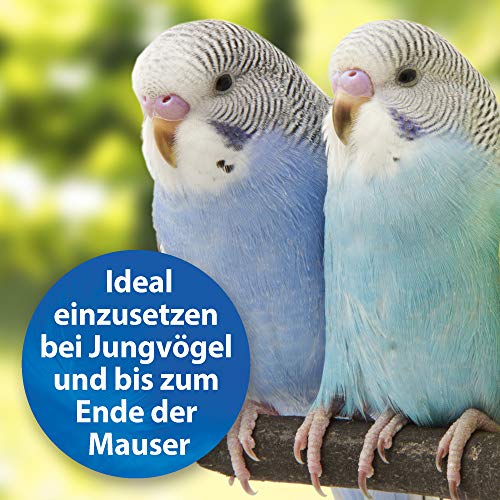 Quiko Plus 400g - Extra eiwit voor jonge vogels - Africansky