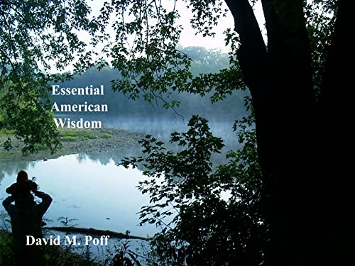 Essential American Wisdom: Observations On A Troubled Republic (Vol. I ...