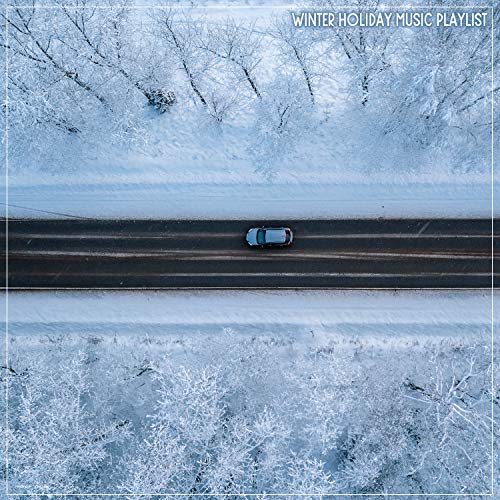 Amazon.com: Winter Holiday Music Playlist : Various artists: Digital Music