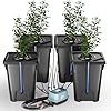 Amazon.com: YIFOR 4 Buckets DWC Hydroponics Growing System with Top ...