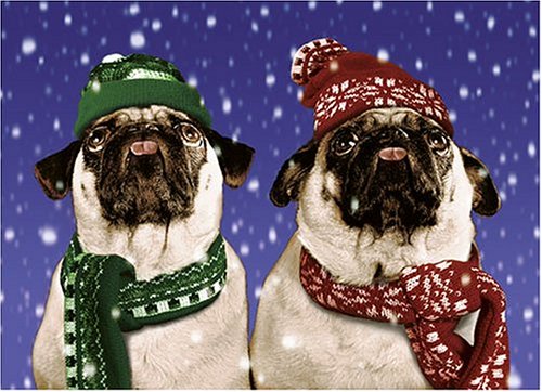2 Pugs in Snow (Holiday Greeting Cards): 0012615274196: Amazon.com: Books