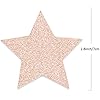 Amazon.com: Glitter Pink Champagne Twinkle Star Hanging Garland ...