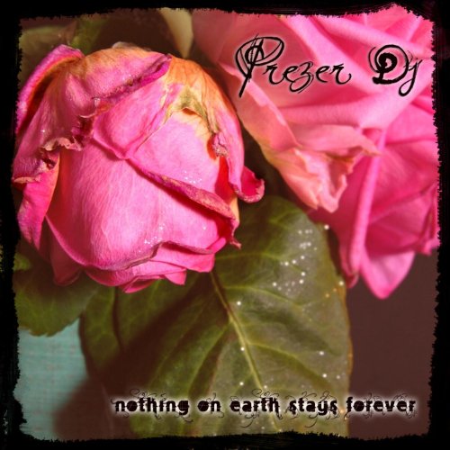 Amazon.com: Nothing On Earth Stays Forever : PrezerDj: Digital Music