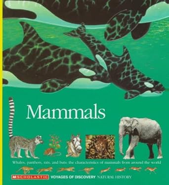 Mammals: Whales, Panthers, Rats, and Bats : The Characteristics of ...