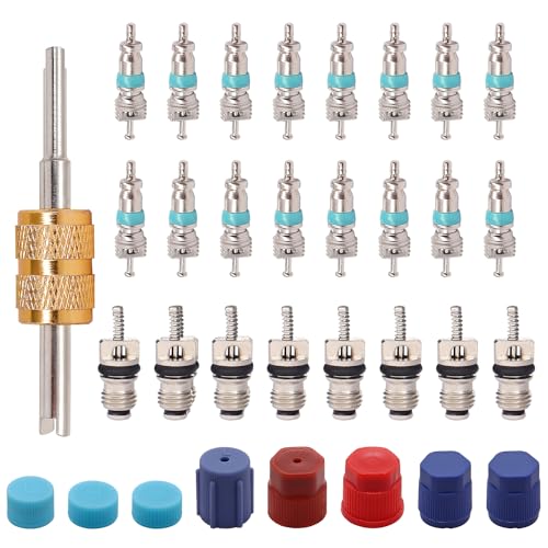 Schrader Valve Ac – The 15 best products compared - Your Motor Guide