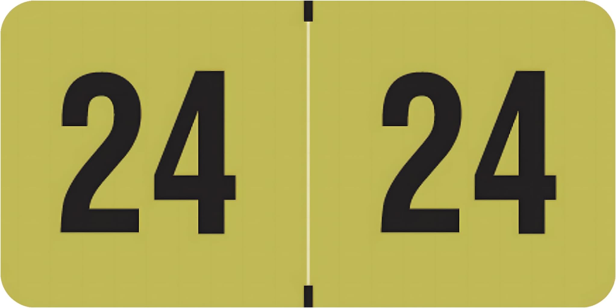 Amazon.com : 2024 Year Stickers, Doctor Stuff, Orange GBS/VRE Style ...