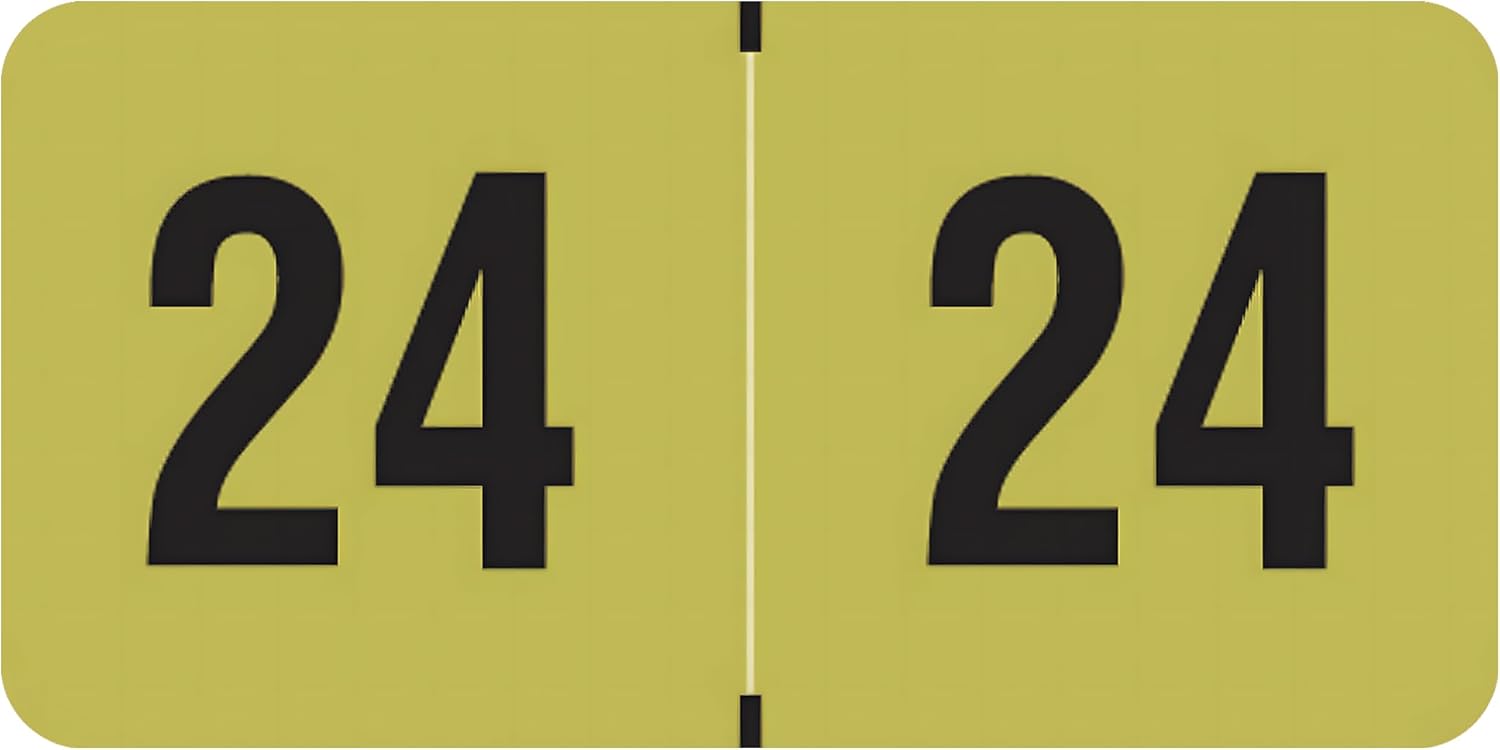 Amazon.com : 2024 Year Stickers, Compatible with Smead ETYJ Series ...