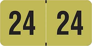 Amazon.com : 2024 Year Stickers, Compatible with Smead ETYJ Series ...