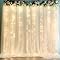 Amazon.com: 10ft x 10ft Ivory Chiffon Backdrop Curtain with Lights ...