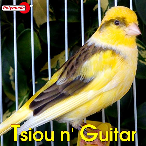 Play Tsiou n' Guitar by Tsiou feat. Victor Polydorou on Amazon Music