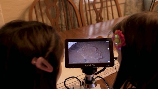 Watch ANNLOV 7 inch digital microscope on Amazon Live