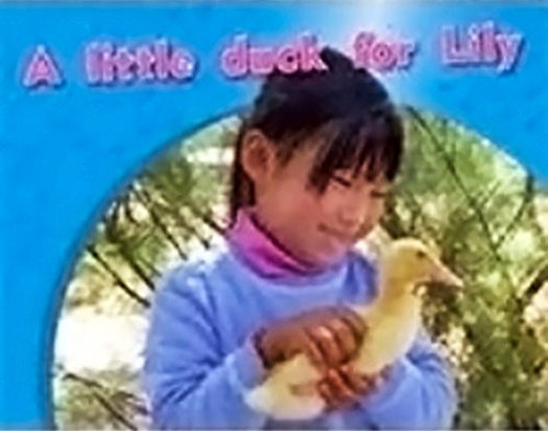 A Little Duck for Lily : Amazon.in: Books