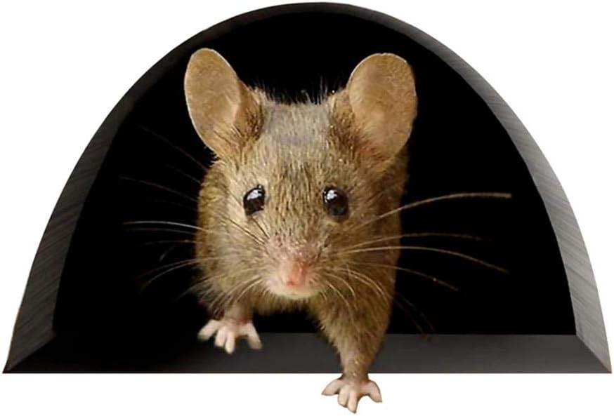 Amazon.com: SyangKaitian 3D Mouse Hole Wall Stickers 5Pcs Mouse in Wall ...