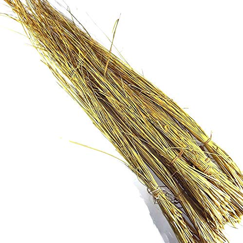 Phalgum Creation Darbha Grass or Kusha Grass for Pooja and Worship 20 ...