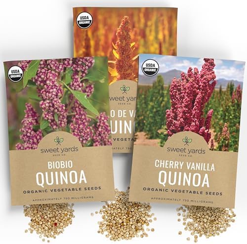 Amazon.com : Organic Quinoa Seeds Home Garden Variety Pack - Non-GMO ...