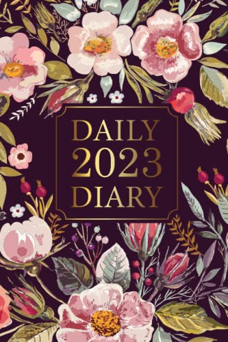 Buy Daily Diary 2023: One Page Per Day, 365 days Fully lined with dated, One day per page from ...