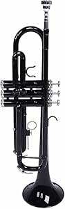Amazon.com: Standard Trumpet Set,Nickelplated Drop B Adjustable Trumpet ...