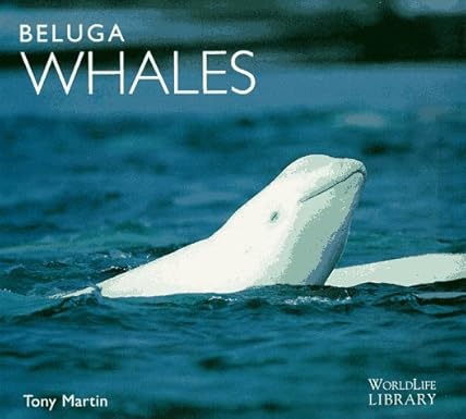 Beluga Whales (WorldLife Library Series): Martin, Tony: 9780896583061 ...