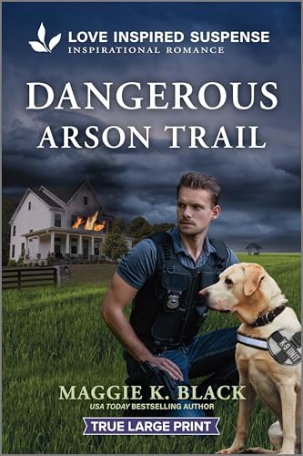 Dangerous Arson Trail (Unsolved Case Files, 3)
