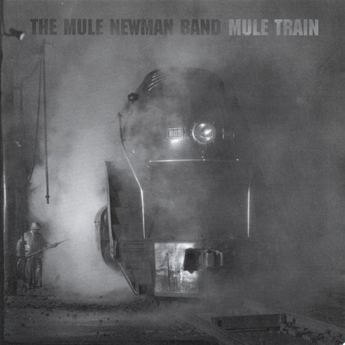 Play Mule Train by The Mule Newman Band on Amazon Music