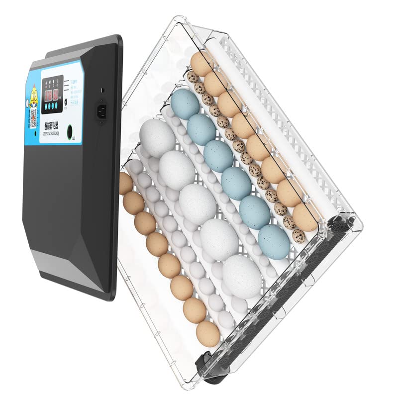 Buy TM&W-TM&W- Automatic Mini Egg hatcher-TM&W Incubator (64 Egg Mini ...