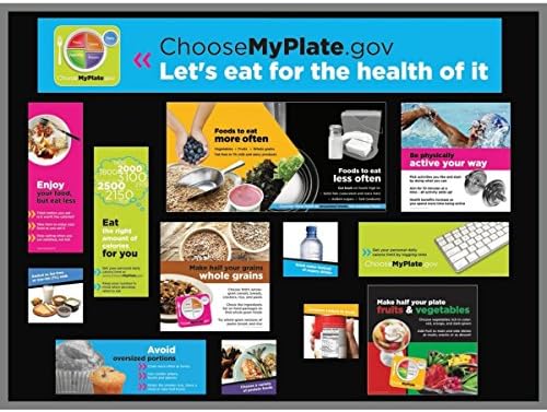 Amazon.com : Nutrition Bulletin Board Kit for Classrooms | MyPlate ...