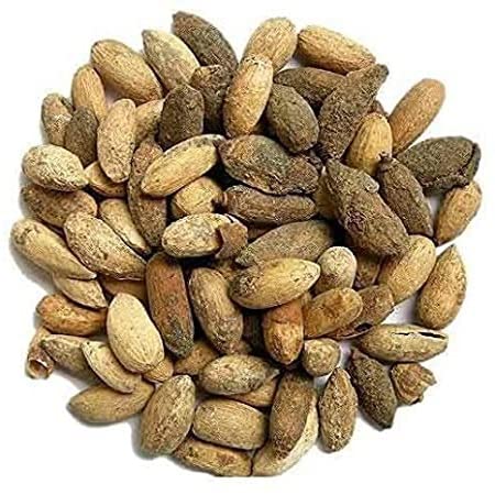 KPETALSHIP™ Neem Seeds (Azadirachta indica) for Gardening and ...